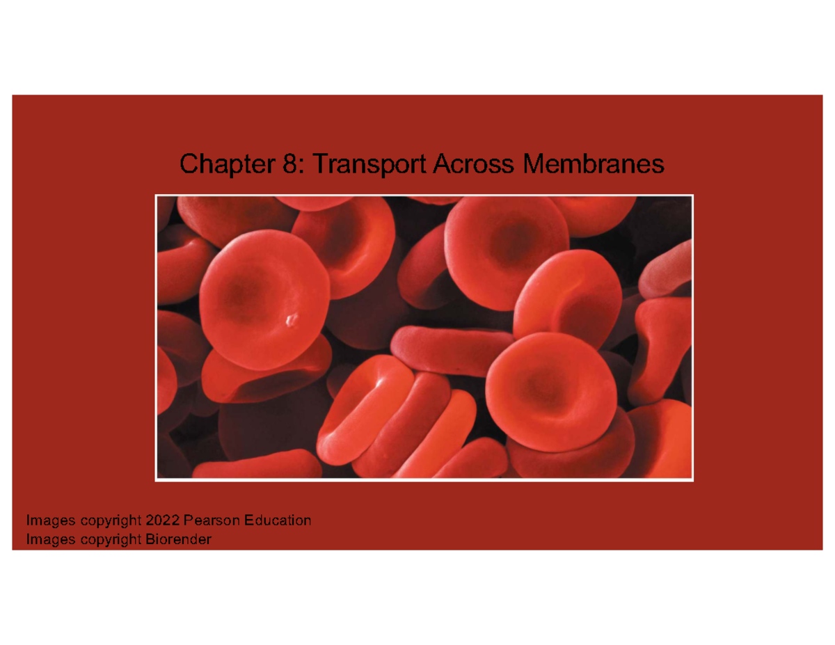 Chapter 8: Membrane Transport Mechanisms in Cell Biology - Studocu