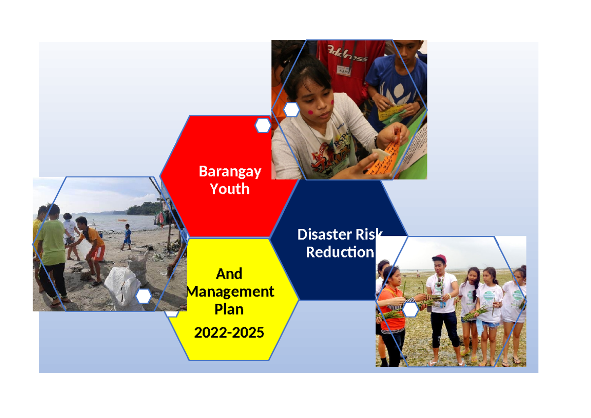 Barangay Youth Disaster Risk Reduction Management Plan (2022-2025 ...