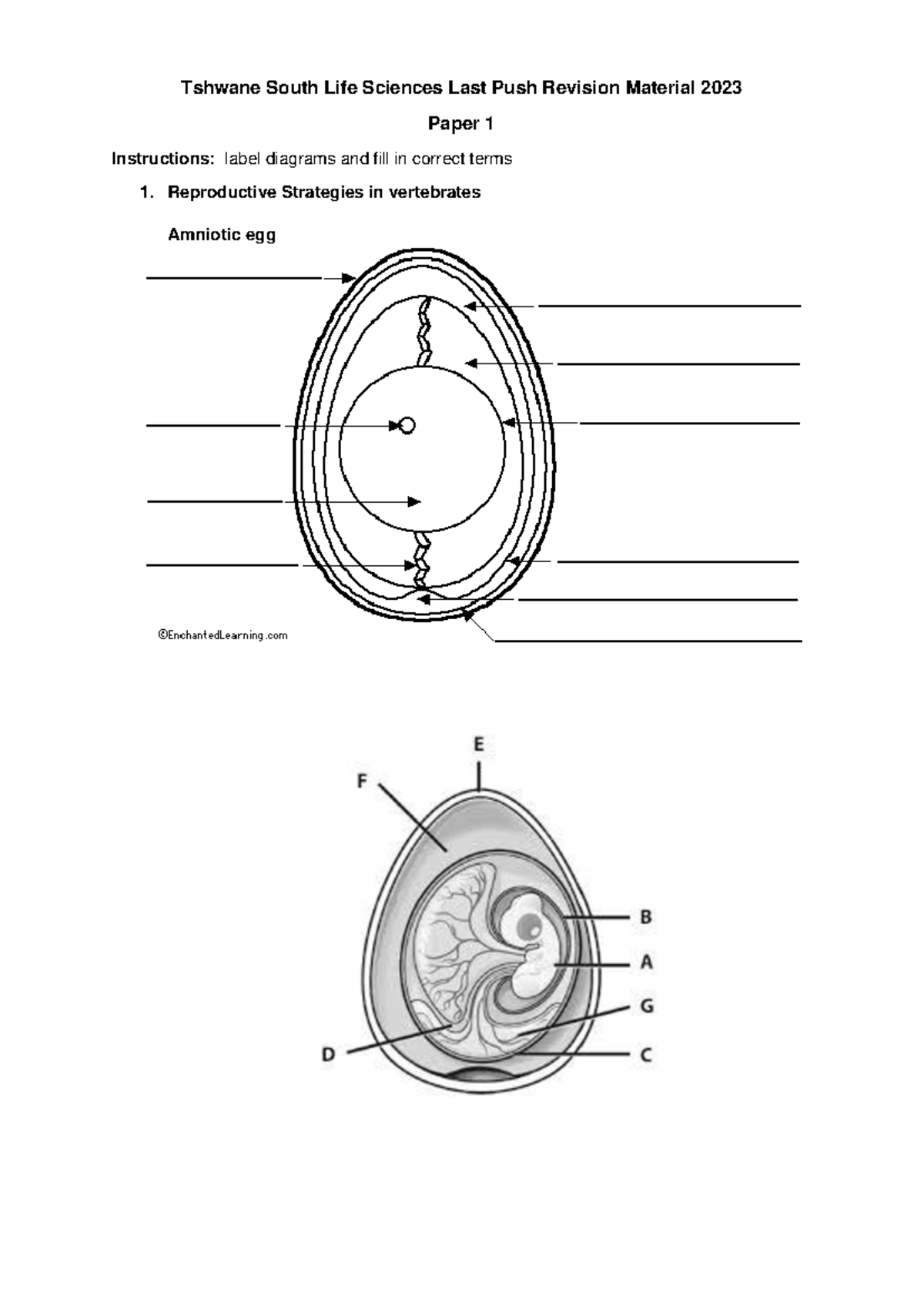Tshwane South Life Sciences P1 Final Revision Material WS 2023 - Studocu