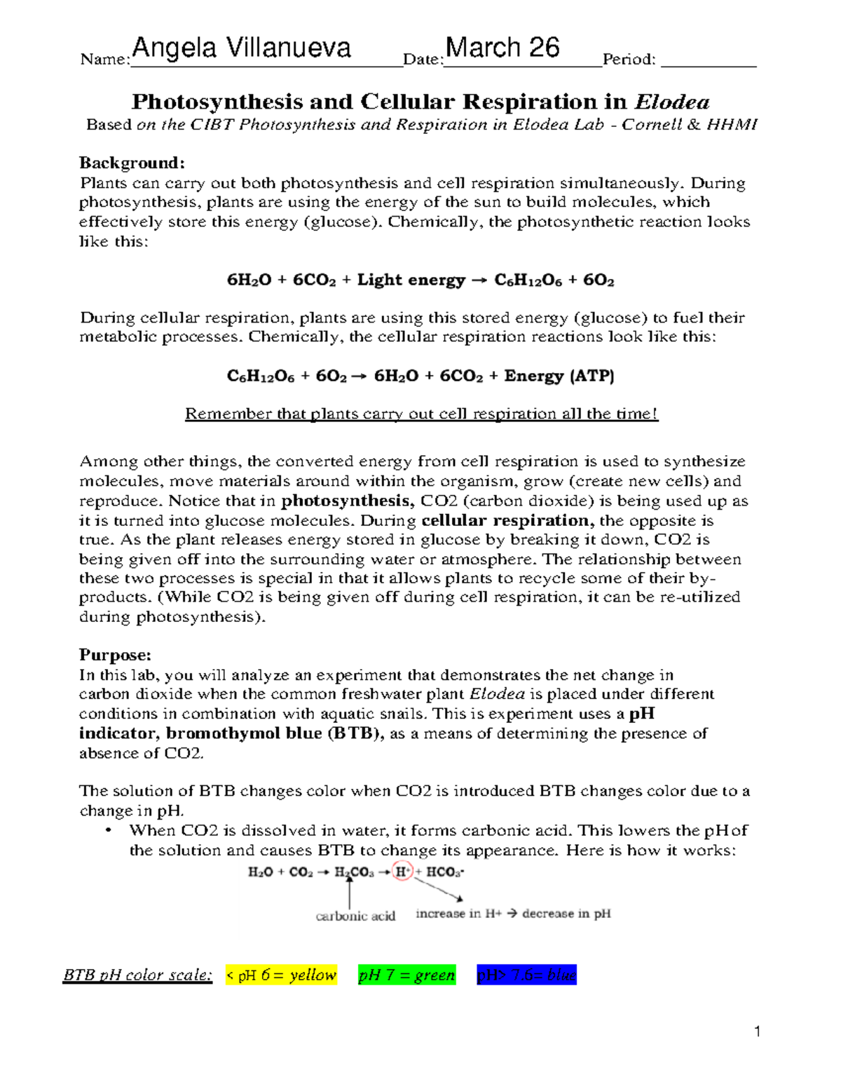 Photosynthesis and Respiration Lab (CIBT) - Elodea Experiment Analysis ...