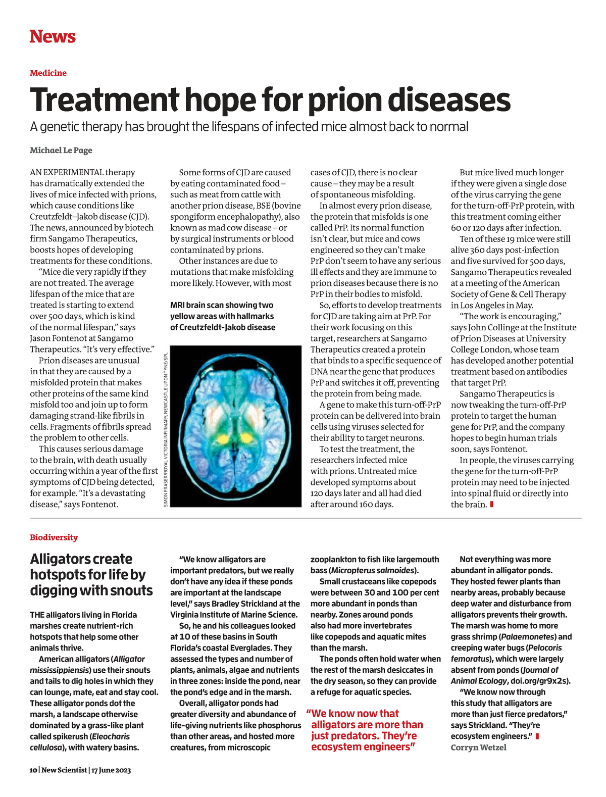 Genetic Therapy Advances for Prion Diseases: Hope for CJD Treatment ...