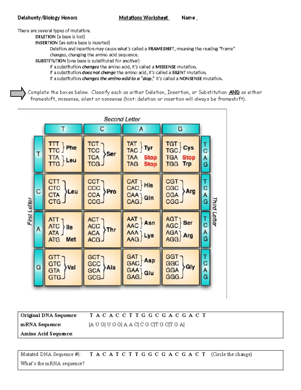 Honors Mutation Worksheet: Types & Effects of Mutations - Studocu