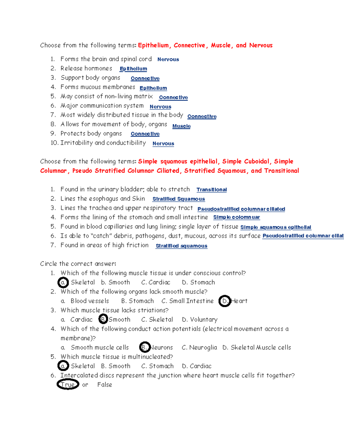 Matching Body Tissue Types and Functions: Quiz Prep for ANAT 101 - Studocu