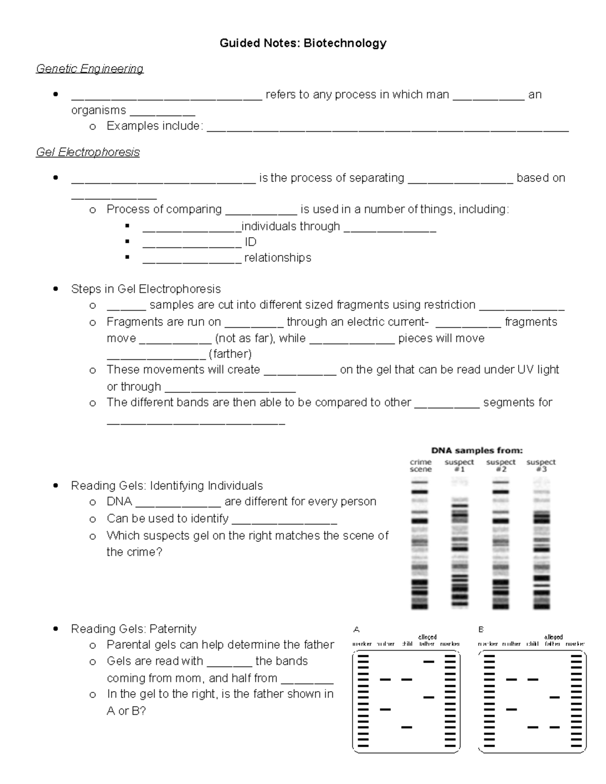 Biotechnology Guided Notes - Guided Notes: Biotechnology Genetic ...