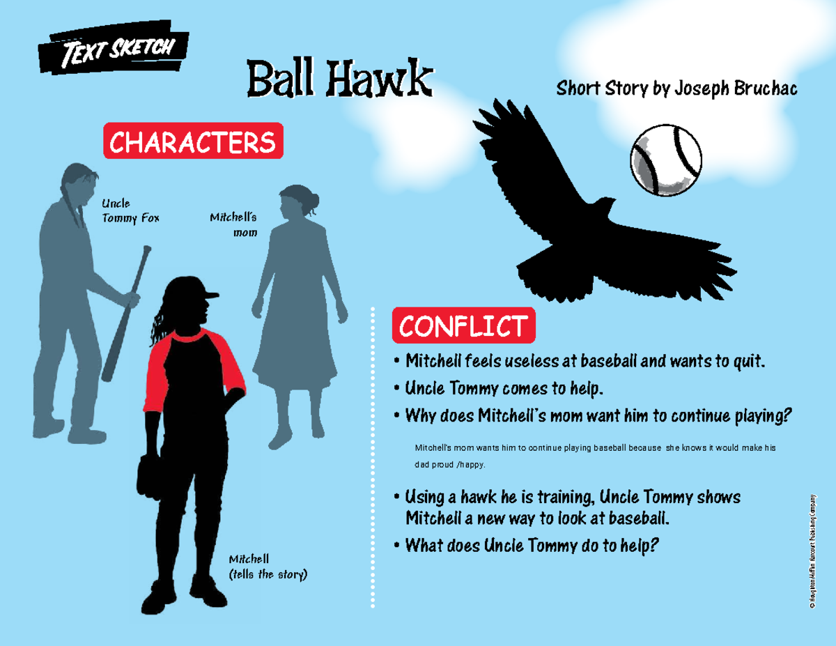ENG 101: Ball Hawk Short Story Analysis and Conflict Review - Studocu