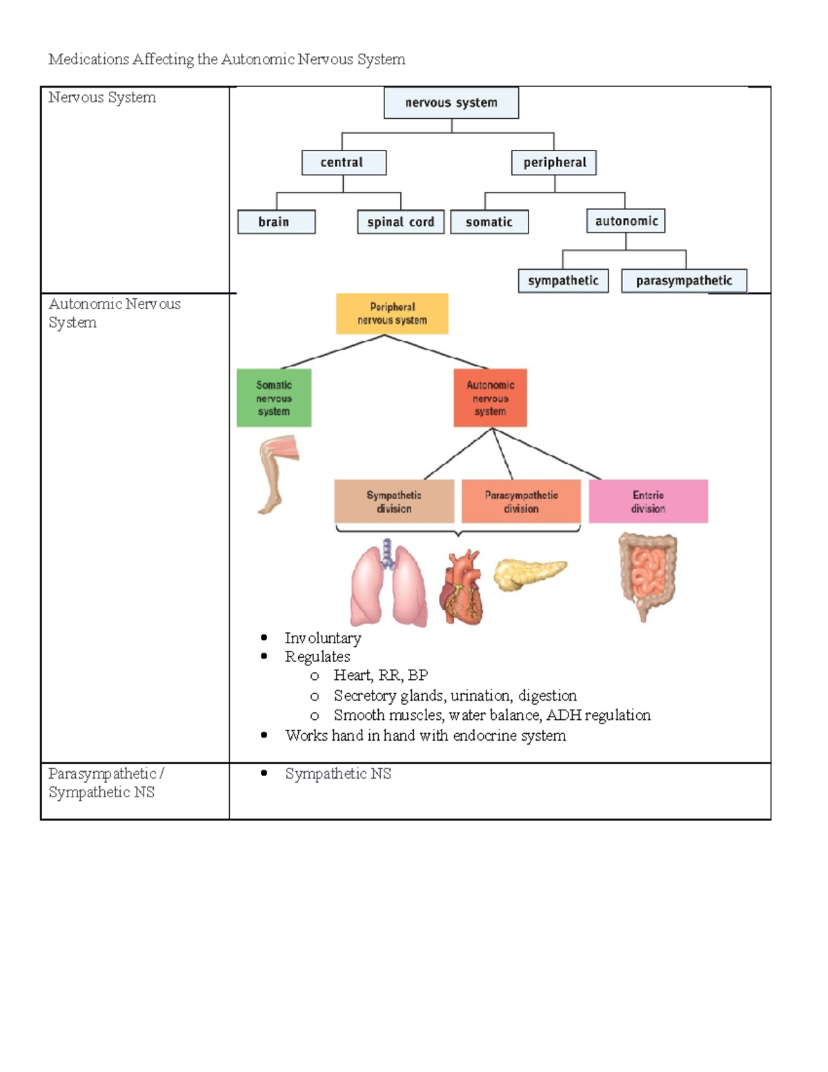 ANS 123 Drugs and Medications Affecting the Autonomic Nervous System ...