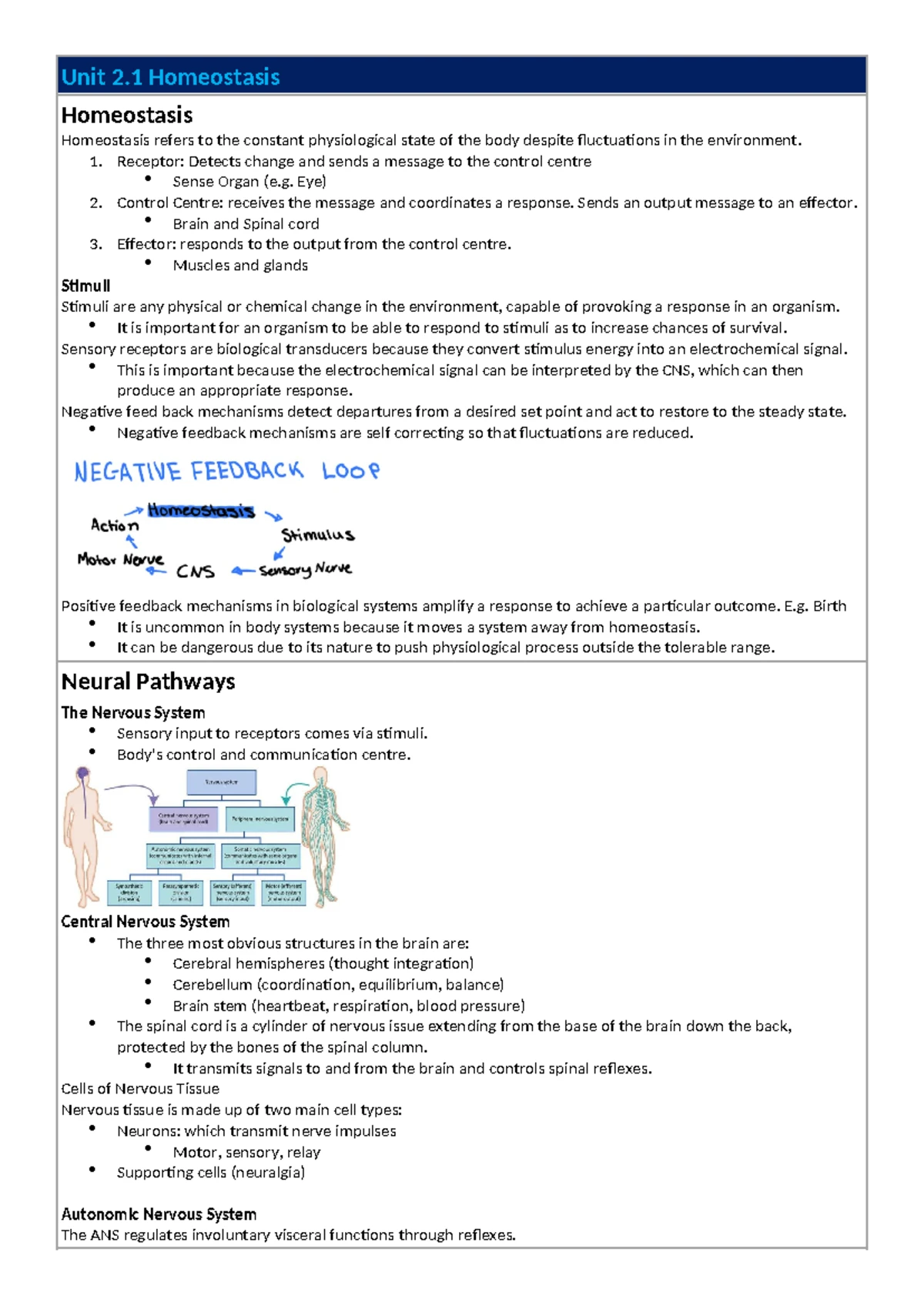 Student Experiment Report Guide: Structure & Key Elements - Studocu