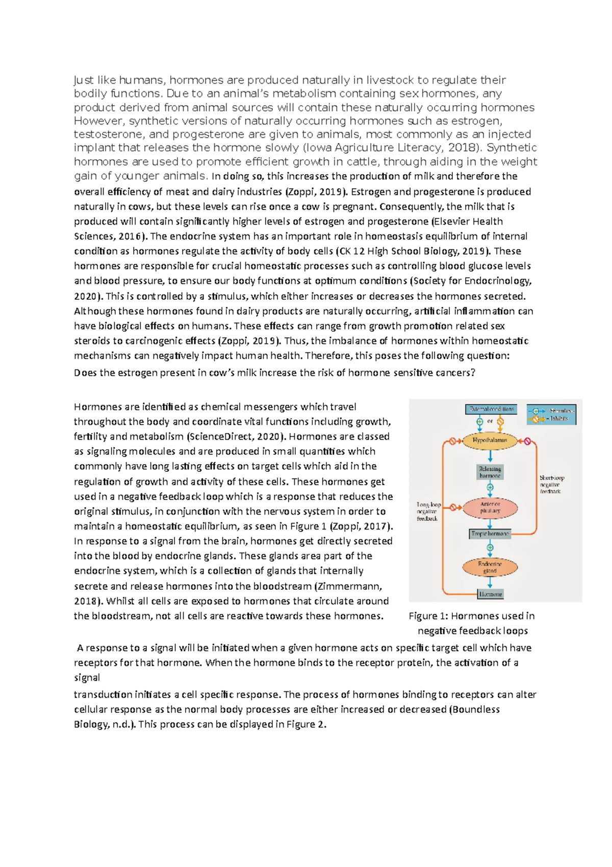 Biology 2019 v1.2 IA3 annotated sample response - Studocu