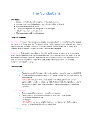A-Level Geography Case Study: Impacts of Hurricanes Katrina & Irma ...
