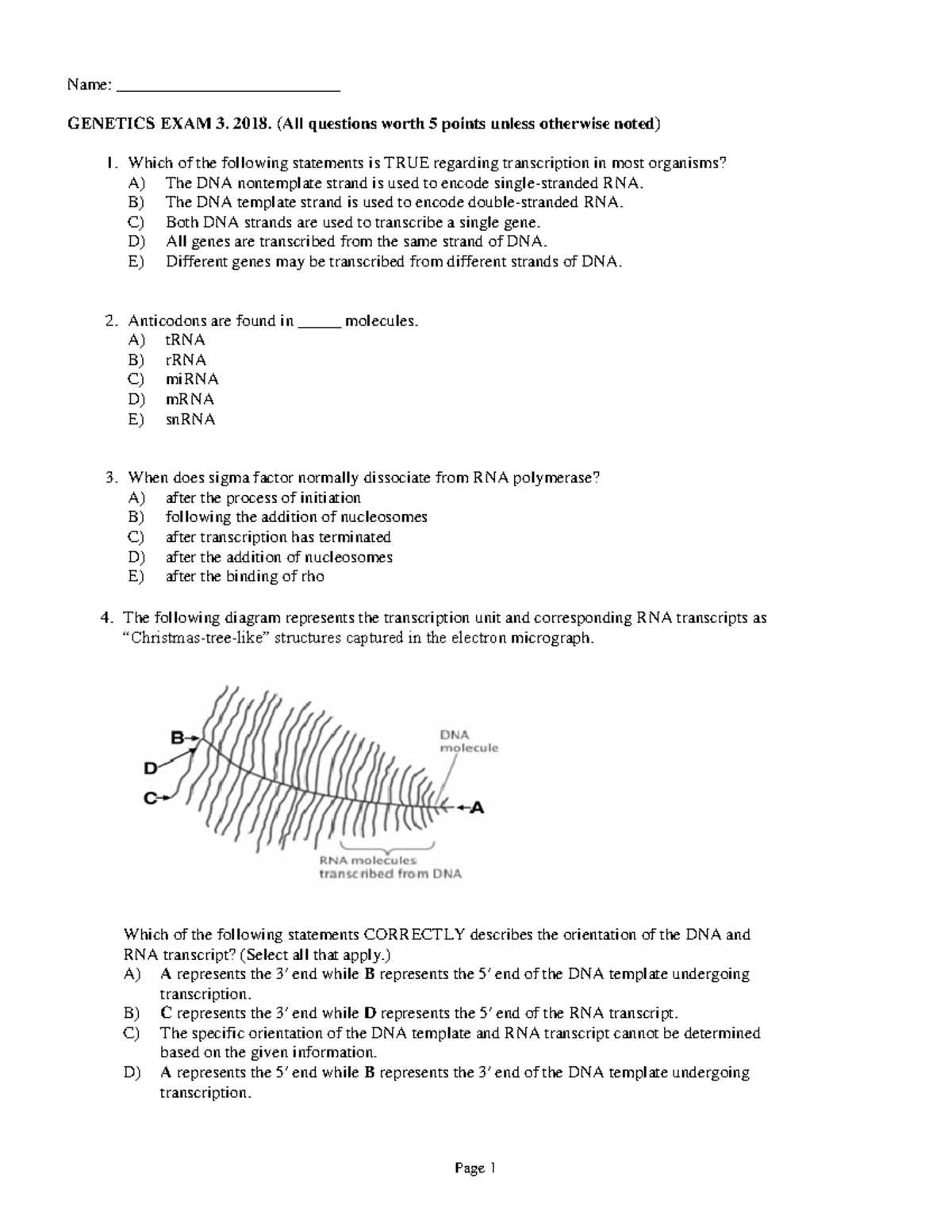 Genetics Exam 3 Practice Questions and Analysis - Studocu