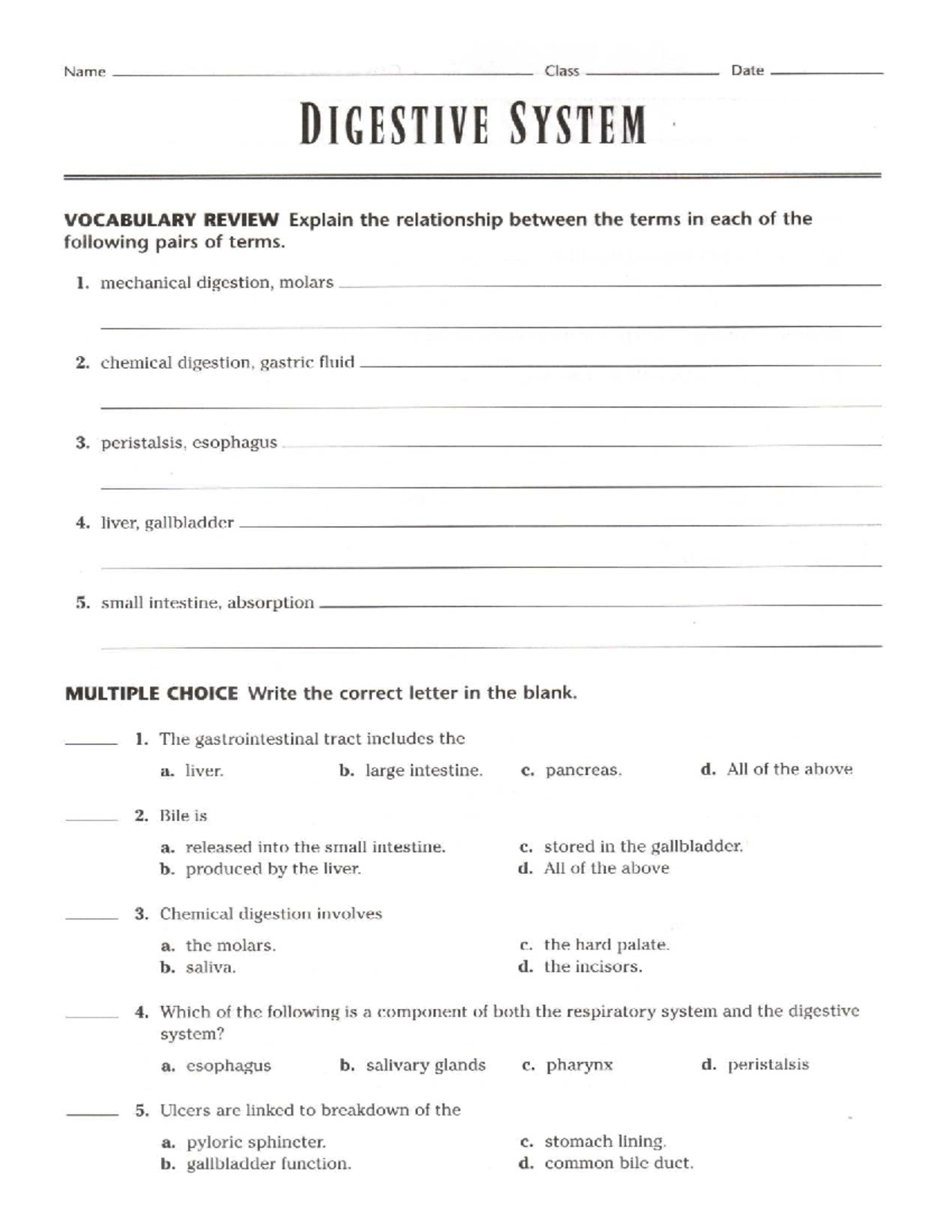 Digestive System Vocabulary Review WKST (Spring 2007) - Studocu