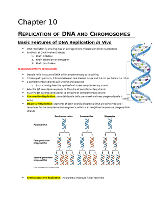 IB Bio - Lab Report Banana DNA Extraction - Lab Report Banana DNA ...