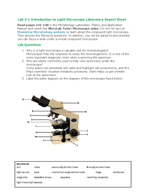 Lab 2-1 Ubiquity of Microrganisms Laboratory Report Sheet - Then answer ...
