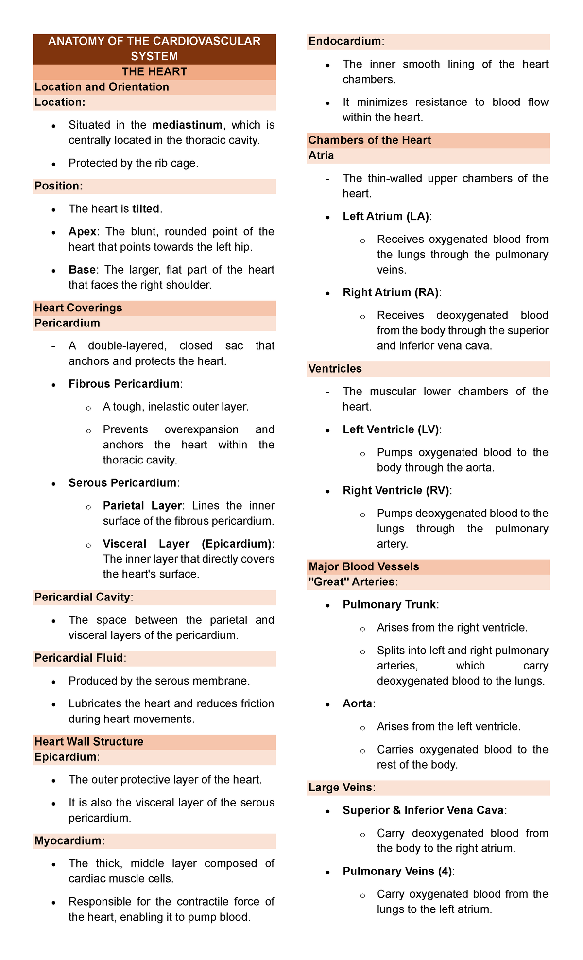 ANATOMY OF THE CARDIOVASCULAR SYSTEM: THE HEART (BIO 101) - Studocu