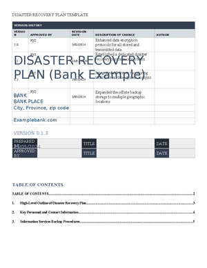 Risk Control Strategies - example - Risk Control Strategies Strategy ...