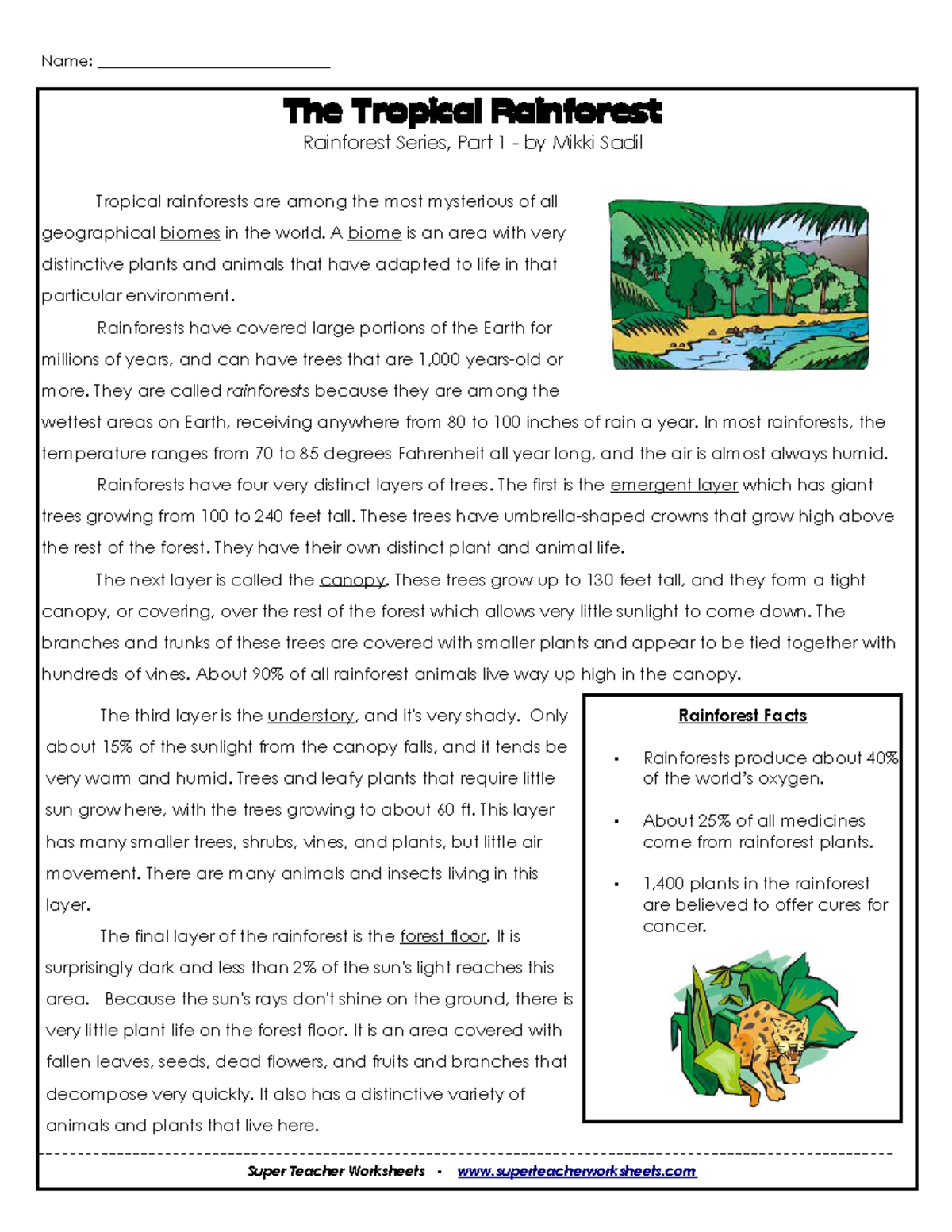 Tropical Rainforest Worksheets