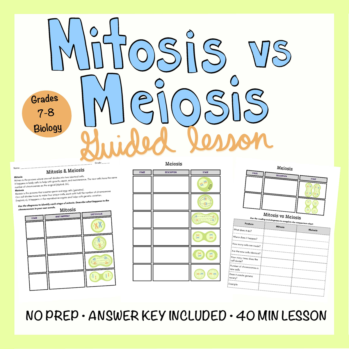 Mitosis vs Meiosis Comparison Worksheet (Biology Grade) - Studocu