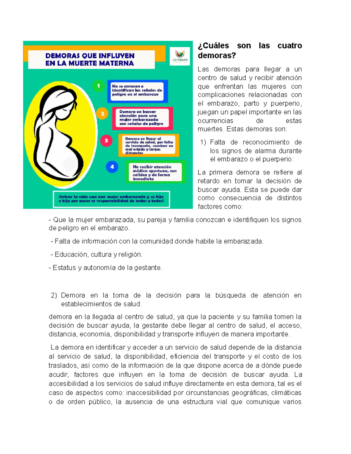 Identificación y Análisis de las Cuatro Demoras en Embarazos ...