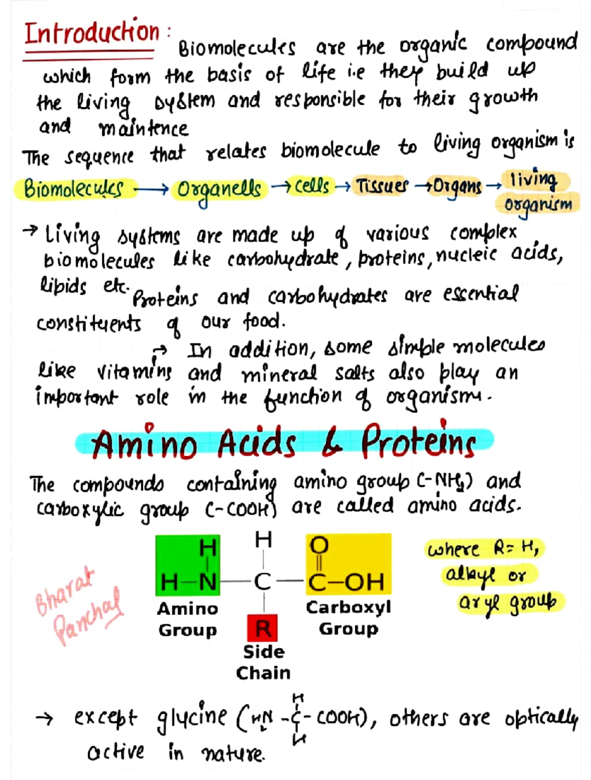 Biomolecules and Their Role in Living Organisms: A Comprehensive ...