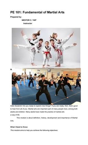 THE- Prosecution- Pillar - THE PROSECUTION PILLAR It is the process or ...