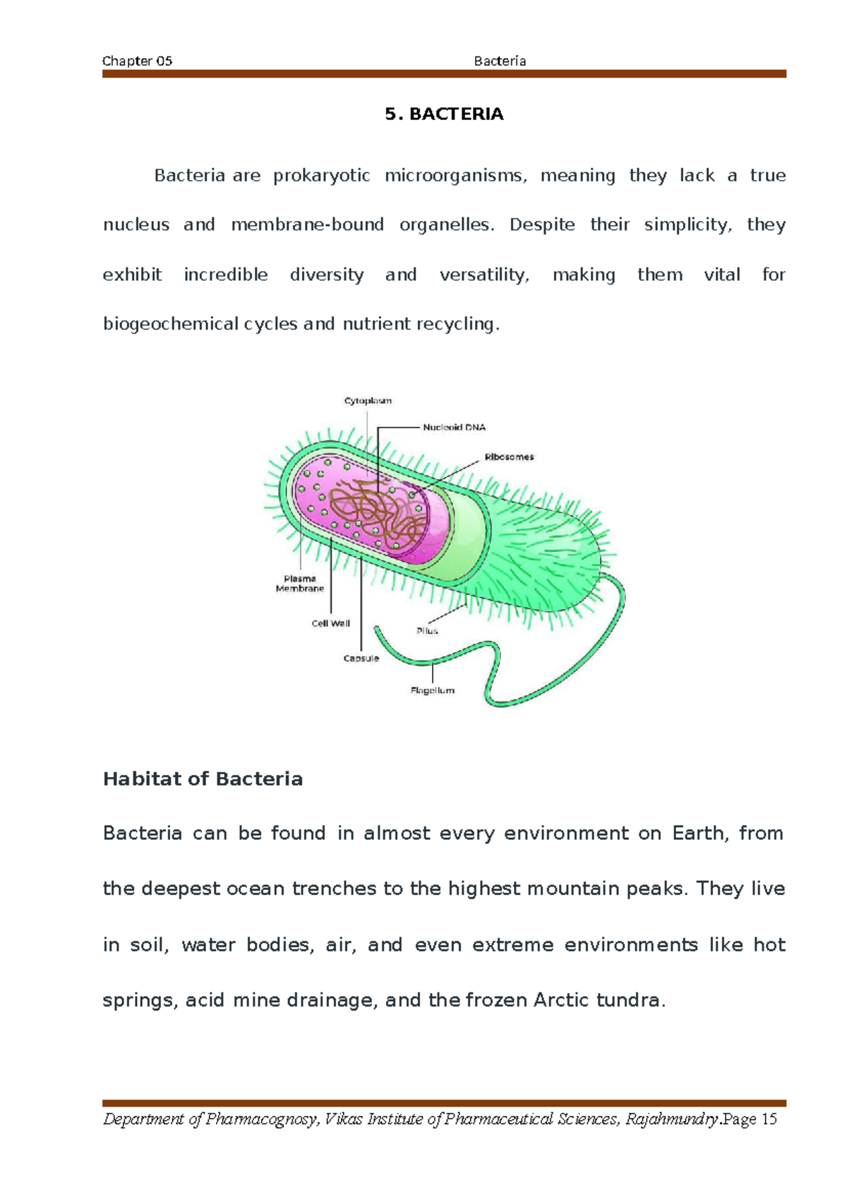 Chapter 05: Bacteria - Structure, Classification, and Pathogenicity ...