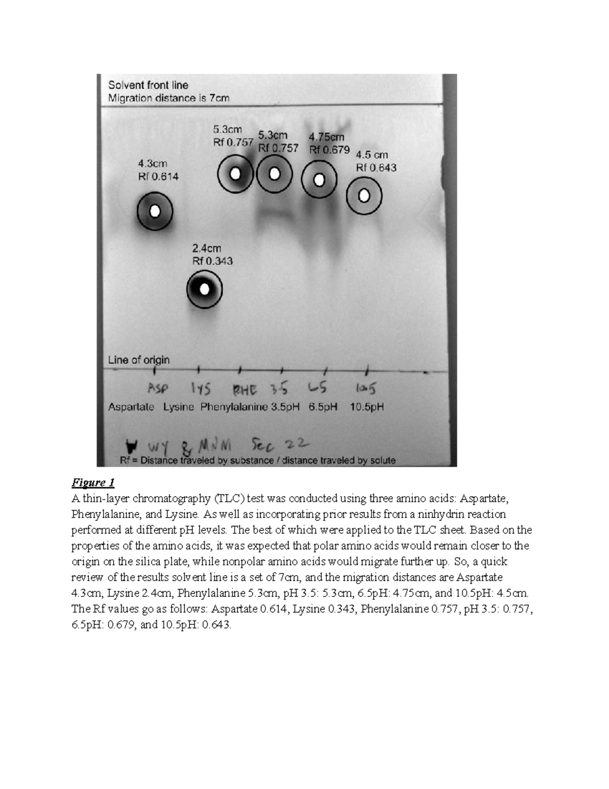 Lab 3 Report: TLC Analysis of Amino Acids and pH Effects - Studocu