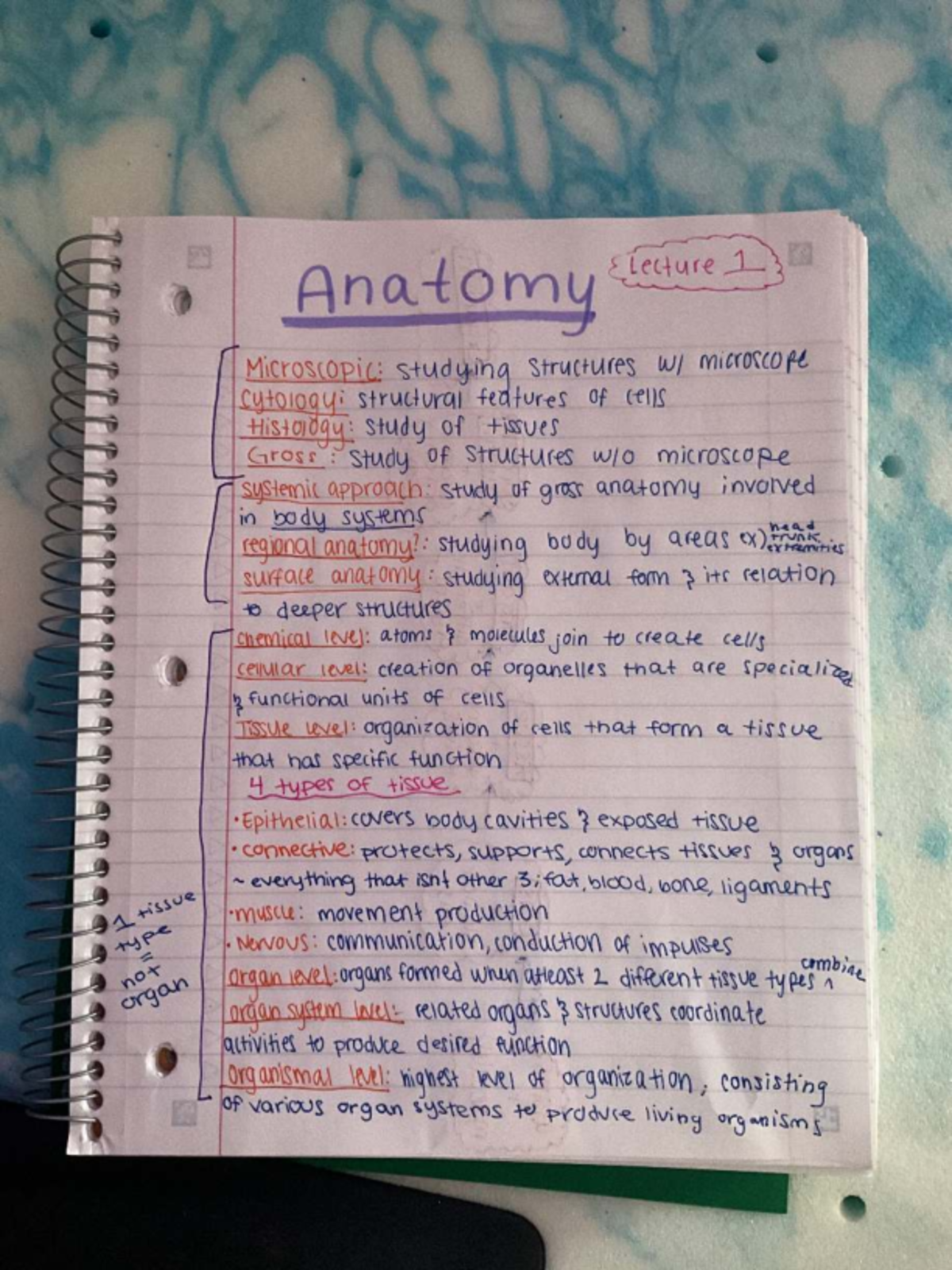 Final Exam Study Guide: Anatomy Lecture Overview - Course Code: XYZ123 ...