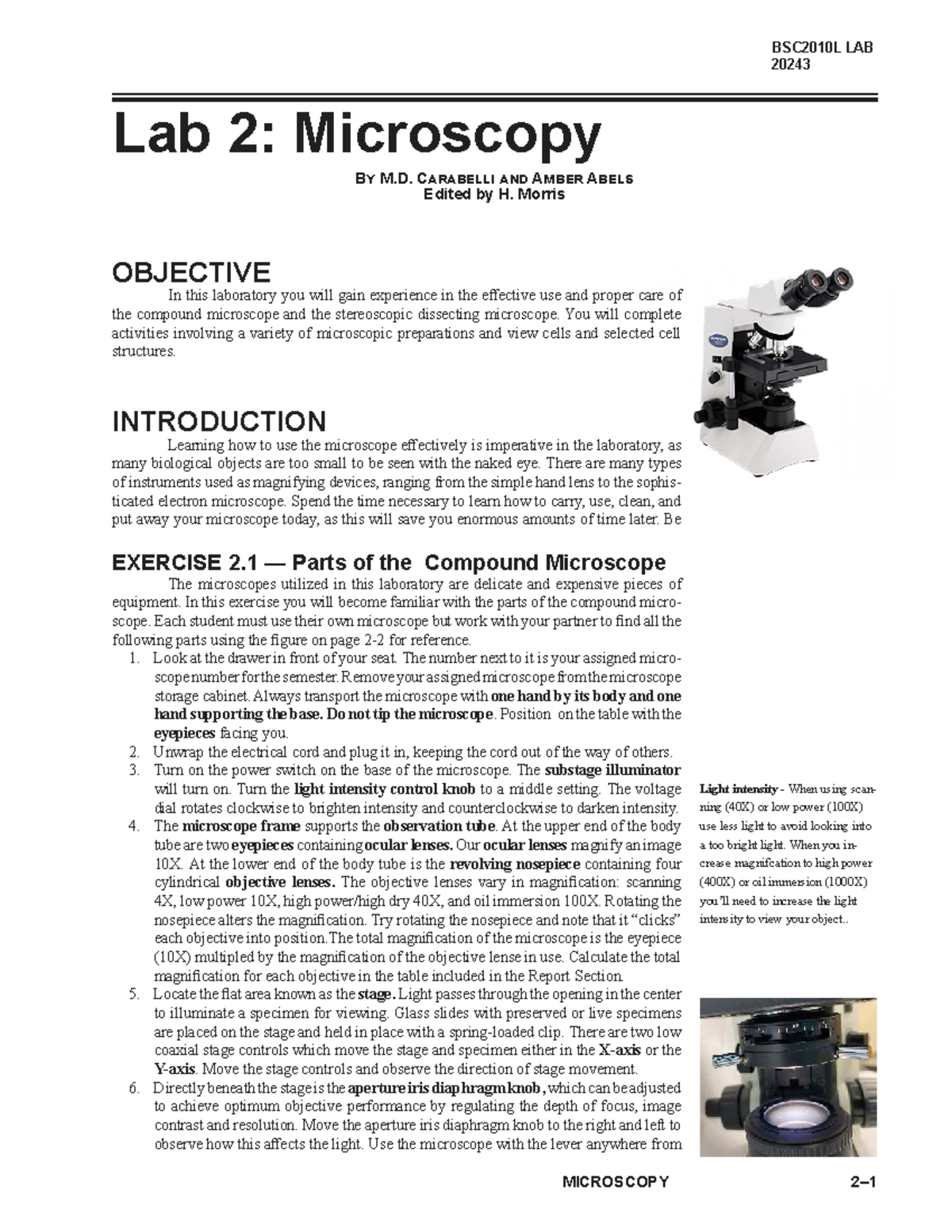 BSC2010L LAB 20243: Microscopy Techniques and Practical Exercises - Studocu