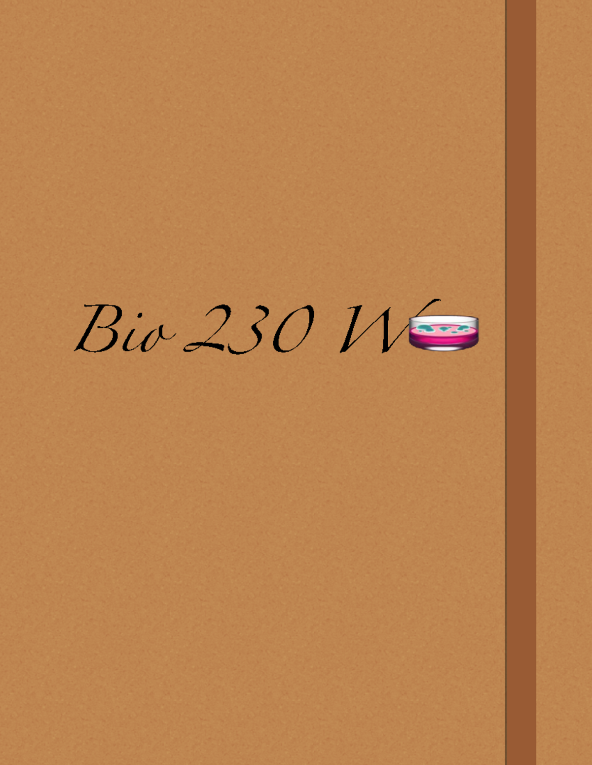 Understanding Resolution and Practical Tips in Microscopy (BIO 230) - Studocu