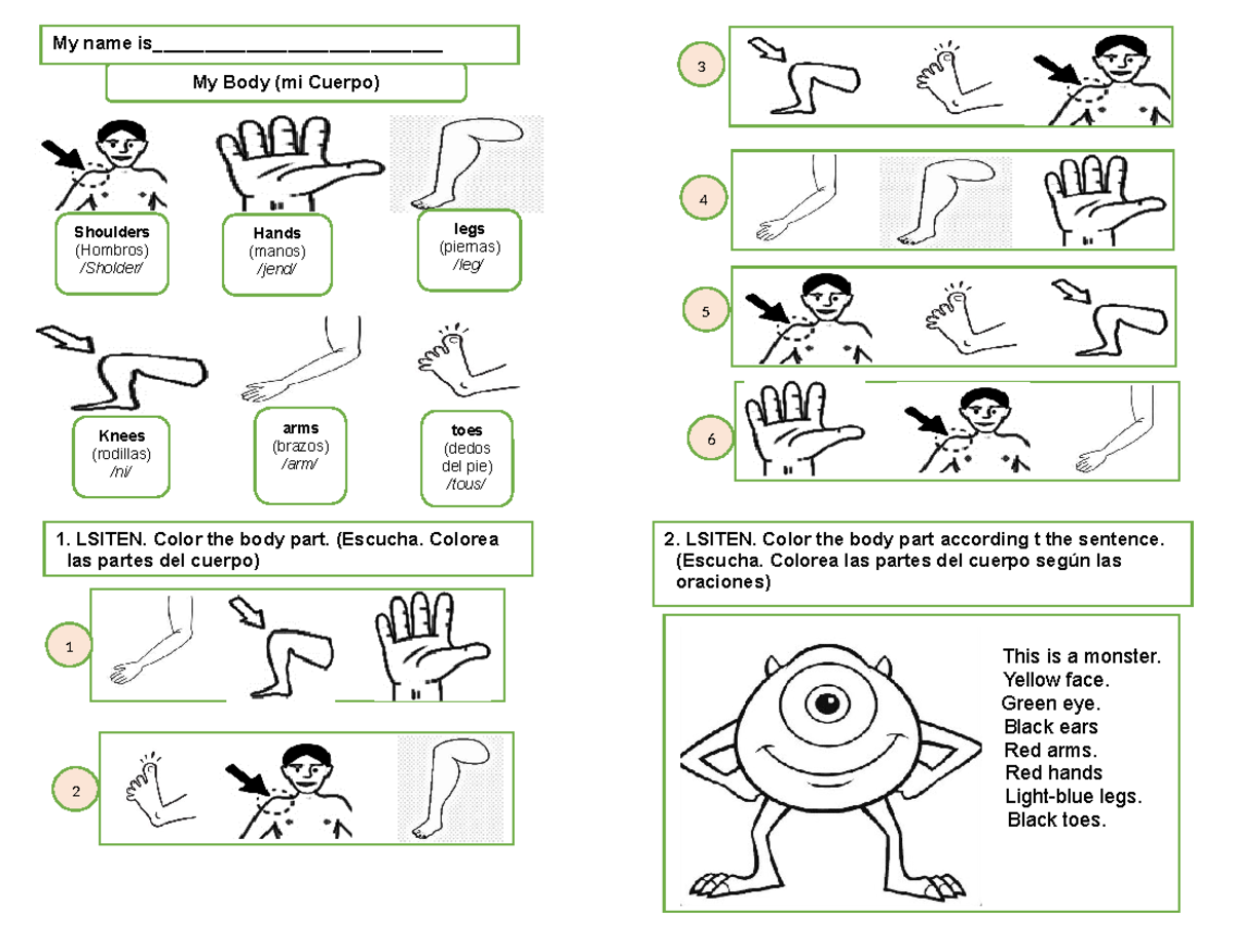 Ficha 3 body parts Primero - My Body (mi Cuerpo) My name is ...