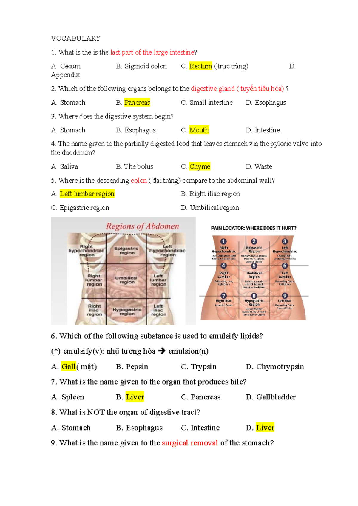 DIGESTIVE SYSTEM QUIZ: VOCABULARY & CONCEPTS - Studocu