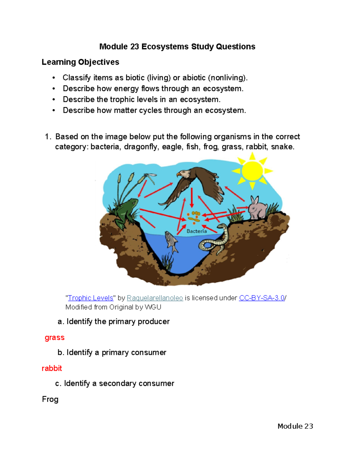 Module 23 Ecosystems Study Questions and Learning Objectives - Studocu