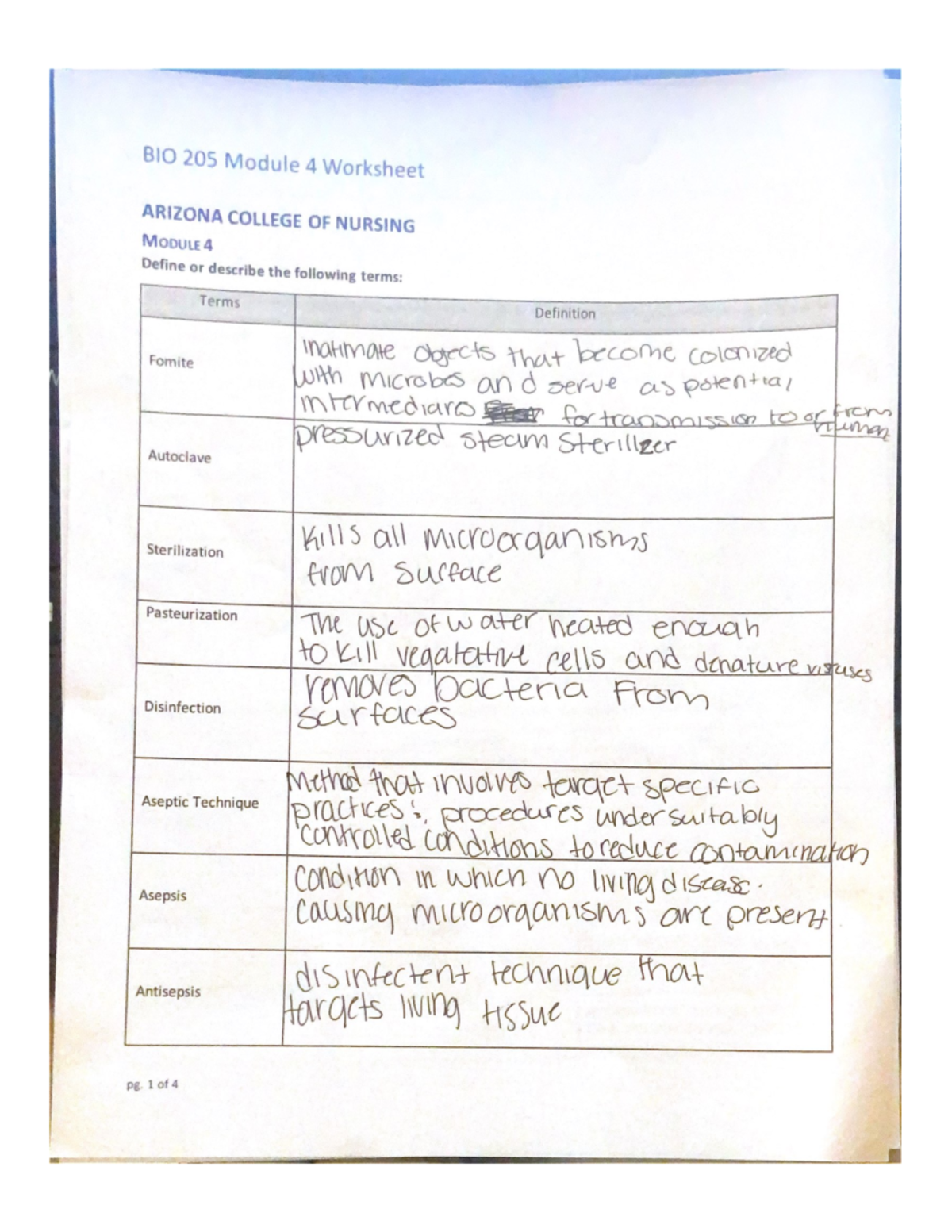 BIO 205 Module 4 Worksheet - BIO 205 Module 4 Worksheet ARIZONA COLLEGE ...