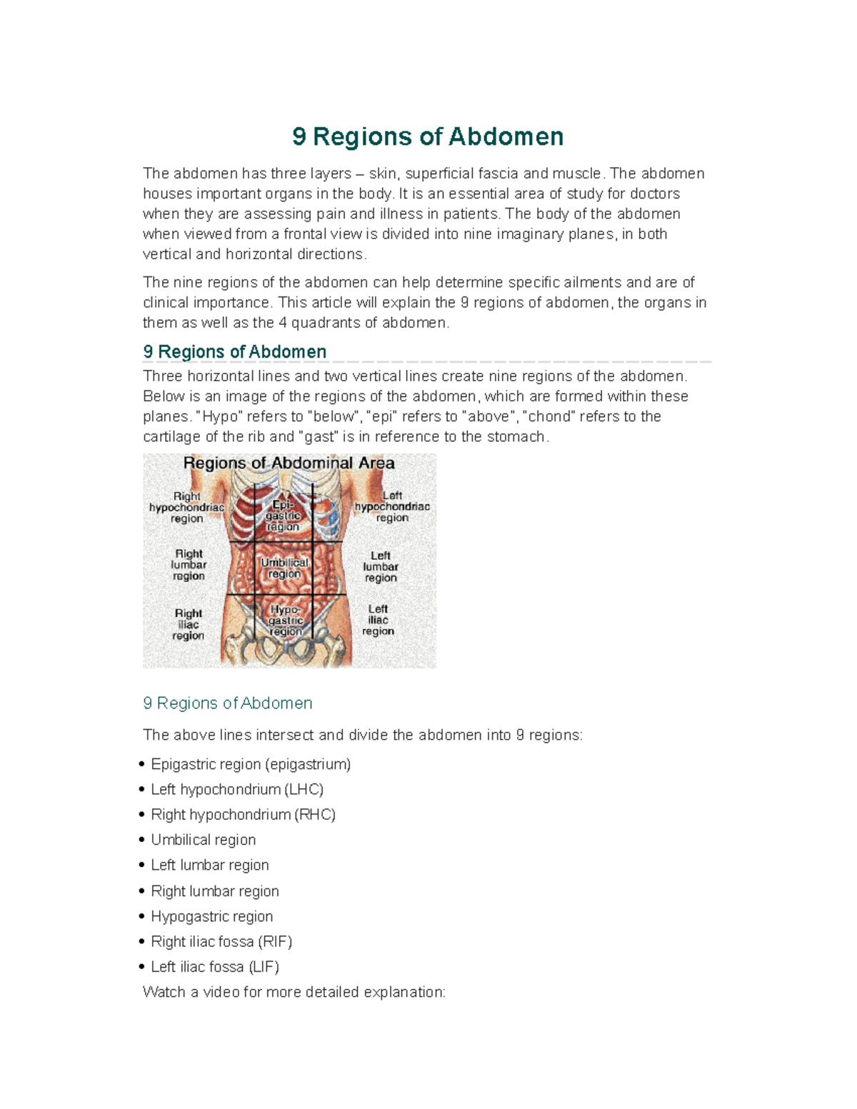 9 Regions of Abdomen: Key Insights from Human Anatomy Lecture - Studocu