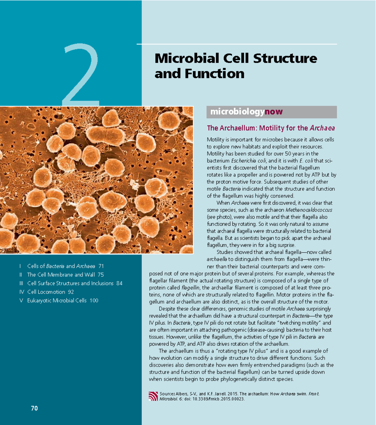 Microbial Cell Structure and Function (BIO 102) - Chapter 2 Overview ...