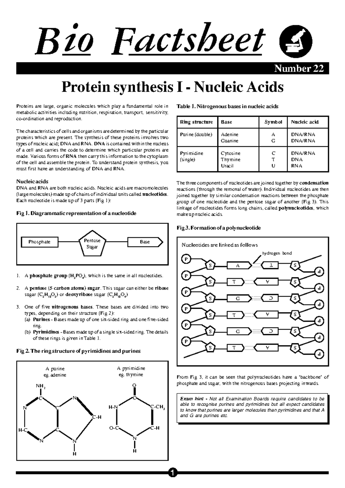 022 - Protein Synthesis I: Nucleic Acids Overview and Mechanisms - Studocu