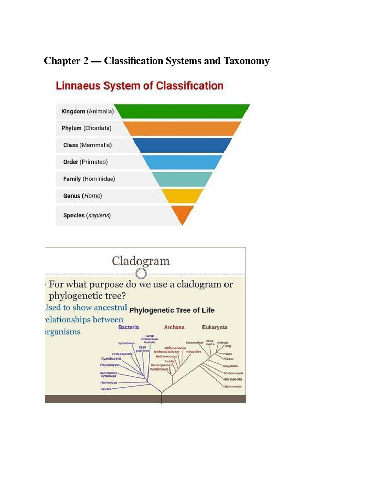 Chapter 2: Classification Systems & Taxonomy Overview - Studocu