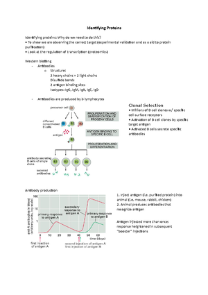 RP 10 - Investigating Simple Animal Responses - AQA Biology A-Level ...