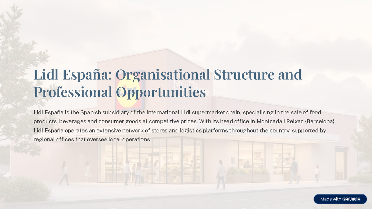 Lidl España: Org Structure & Career Opportunities Case Study LPD - Studocu