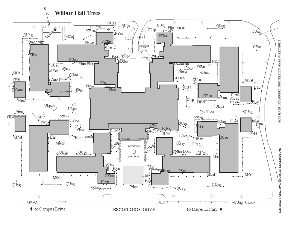 Wilbur Hall Tree Map - Stanford University Guide - Studocu