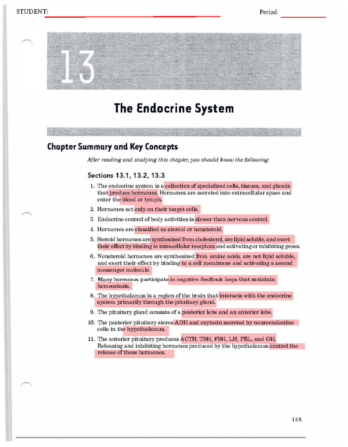 Endocrine System Worksheet Key