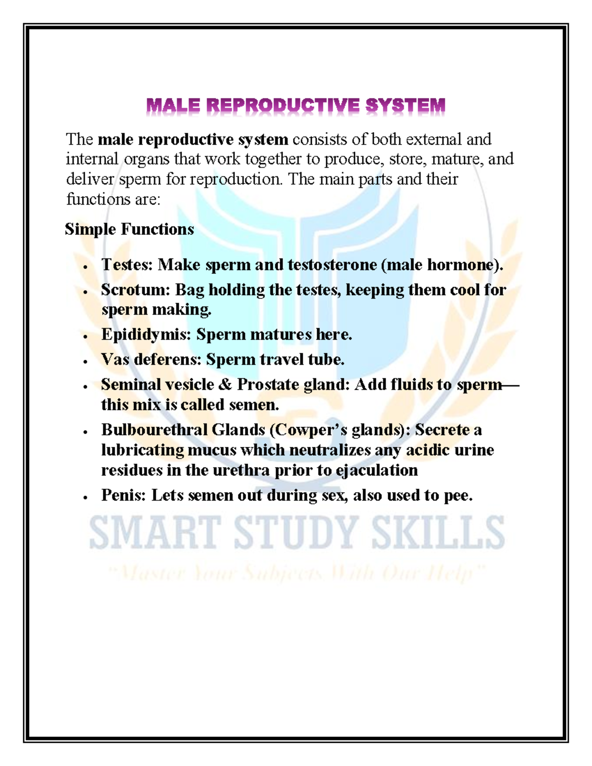 MRS - Overview of Male Reproductive System Functions - Studocu