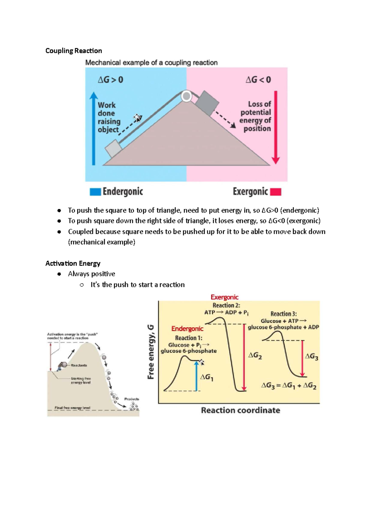Some Met Biochem Notes - Enzyme Kinetics & Catalysis Concepts - Studocu