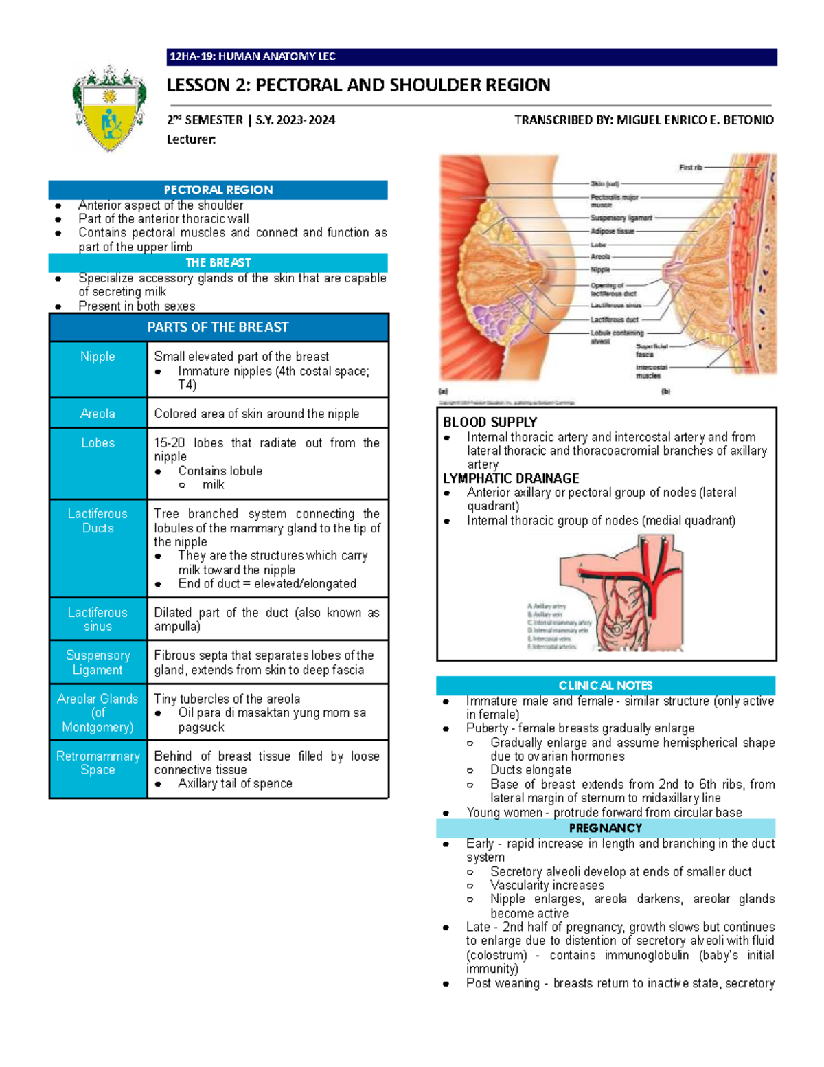 HUMAN ANATOMY LEC LESSON 2: PECTORAL AND SHOULDER REGION - Studocu