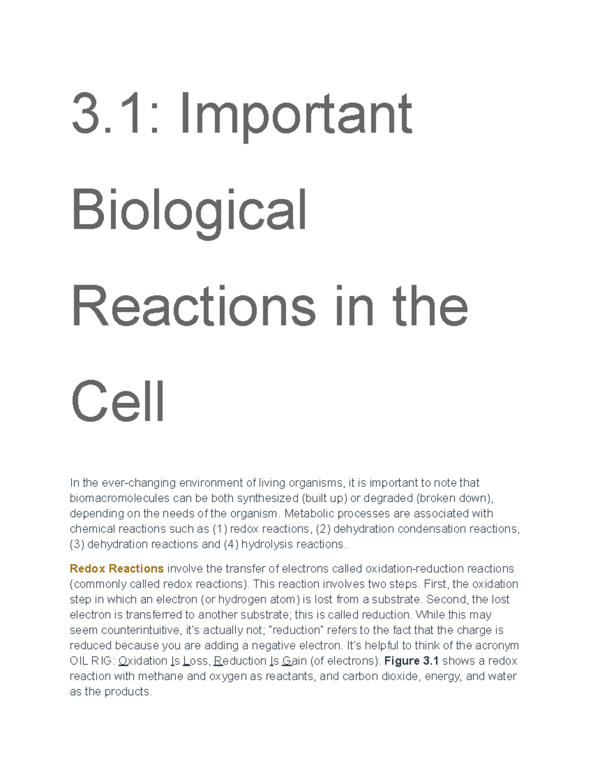 3.1: Key Metabolic Reactions in Cellular Processes - Exam Notes - Studocu