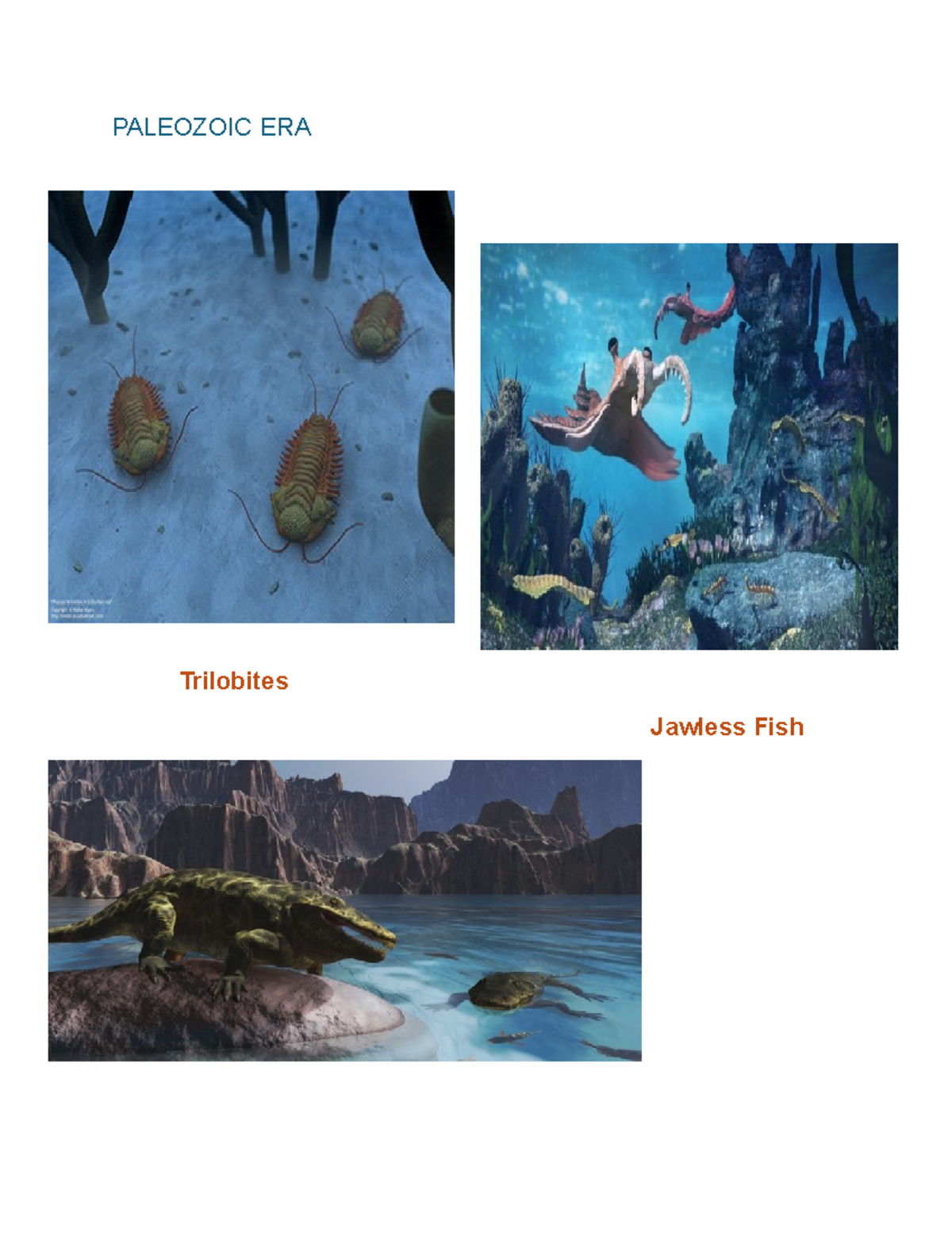 Document - NOTHING TO SAY - Education - PALEOZOIC ERA Trilobites ...