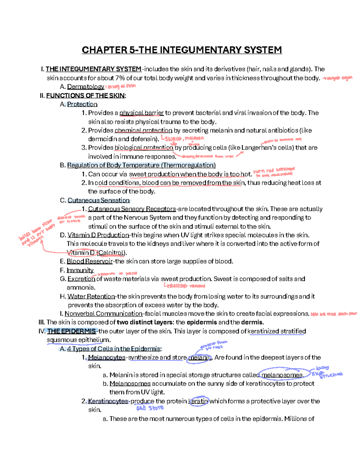Chapter 5: The Integumentary System - Structure & Functions - Studocu