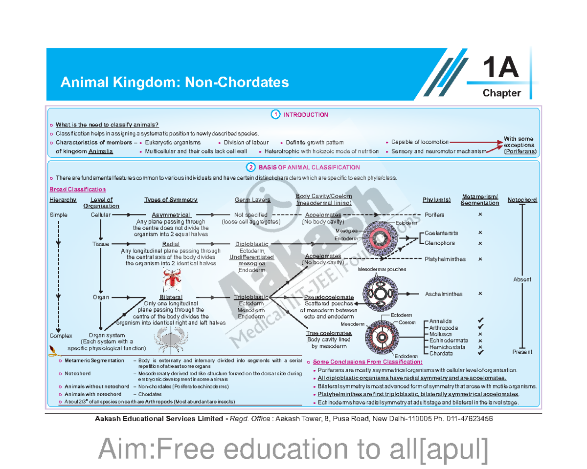 Zoology 1A: Animal Kingdom Classification and Morphology Overview - Studocu