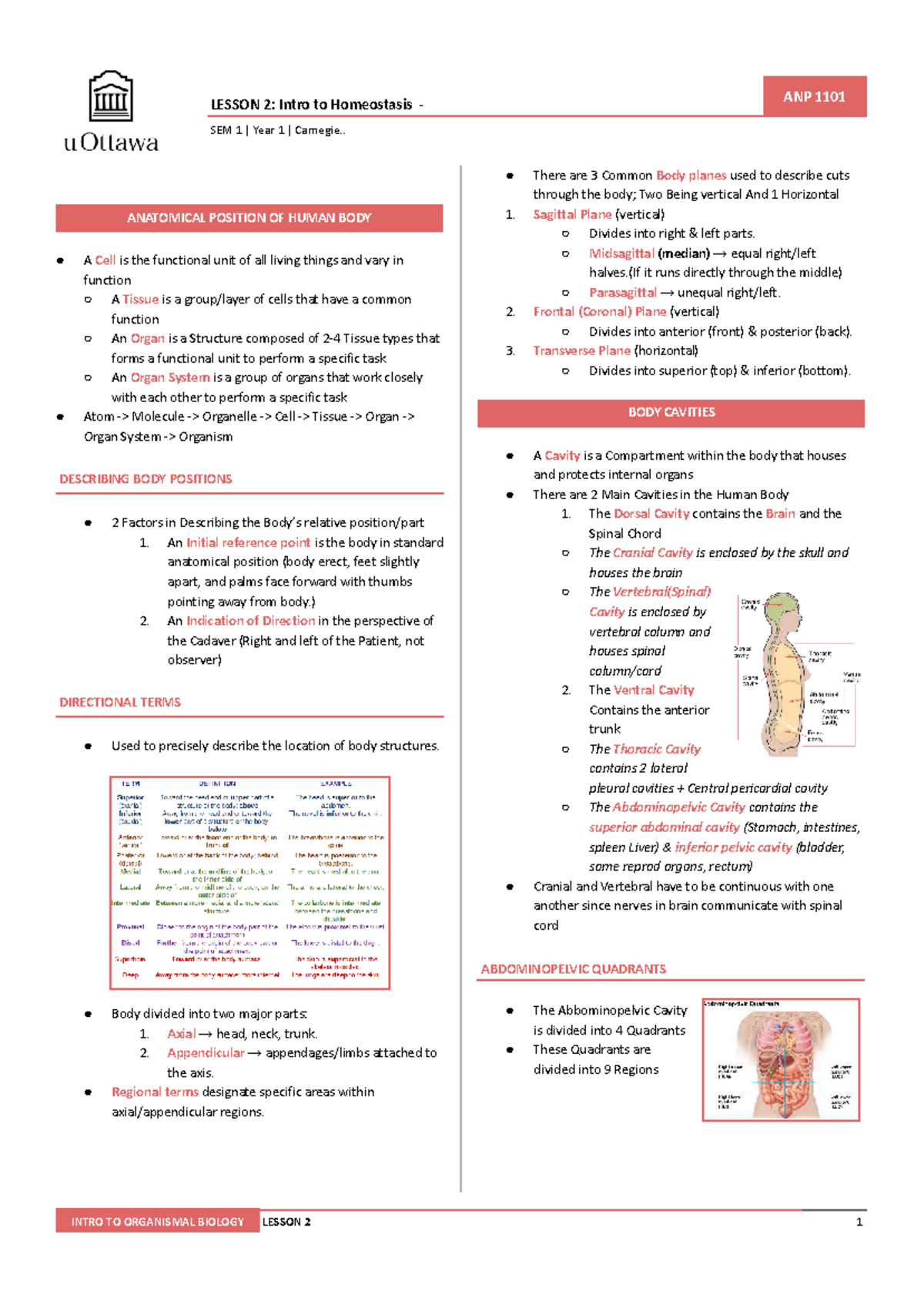 ANP 1101 LESSON 2: Homeostasis and Body Organization SEM 1 Year 1 - Studocu