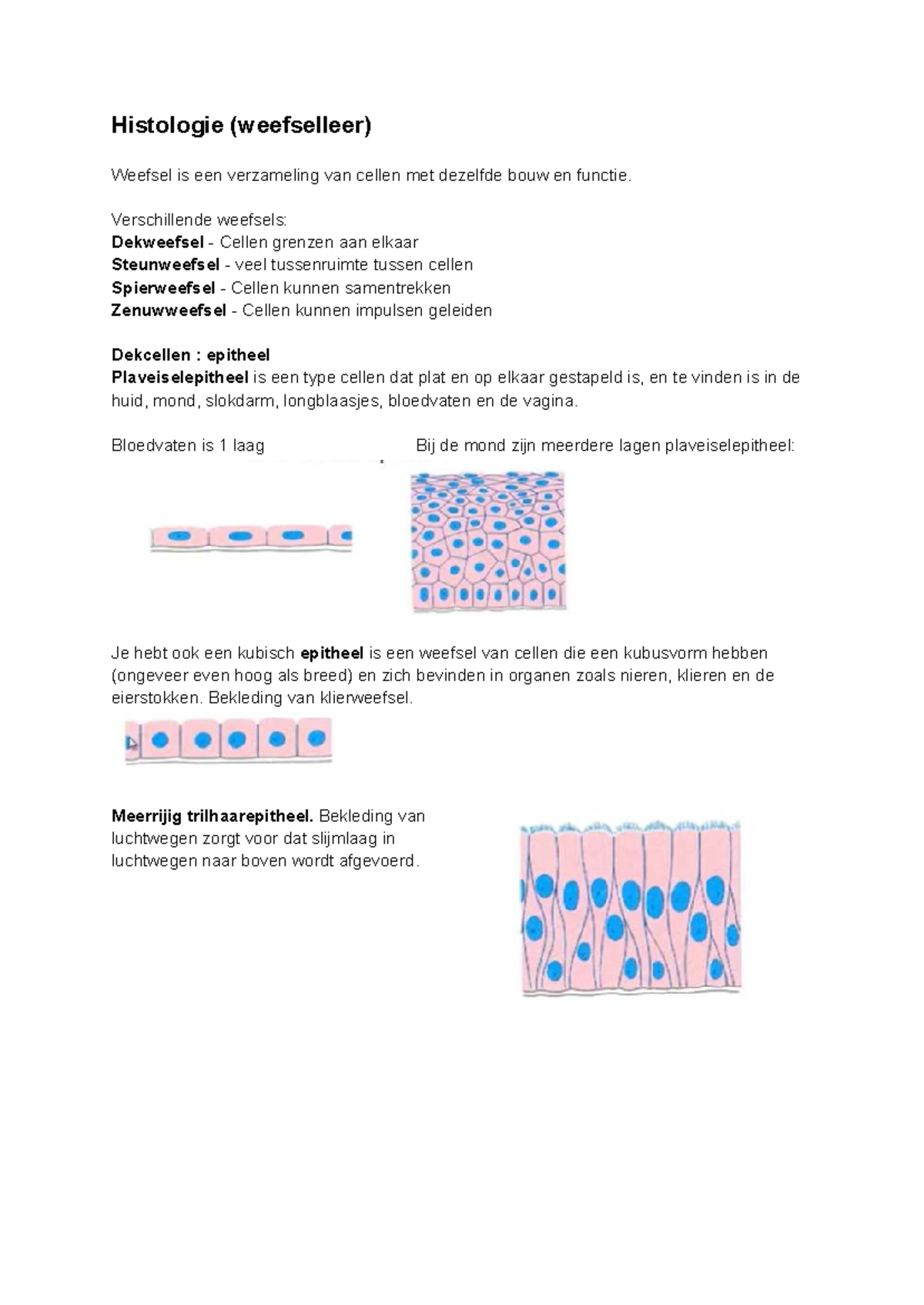 MV Week 3 Histo - Samenvatting van Weefsels en Functies - Studeersnel